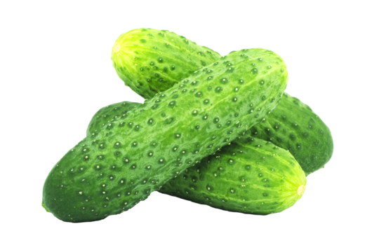 Grovo